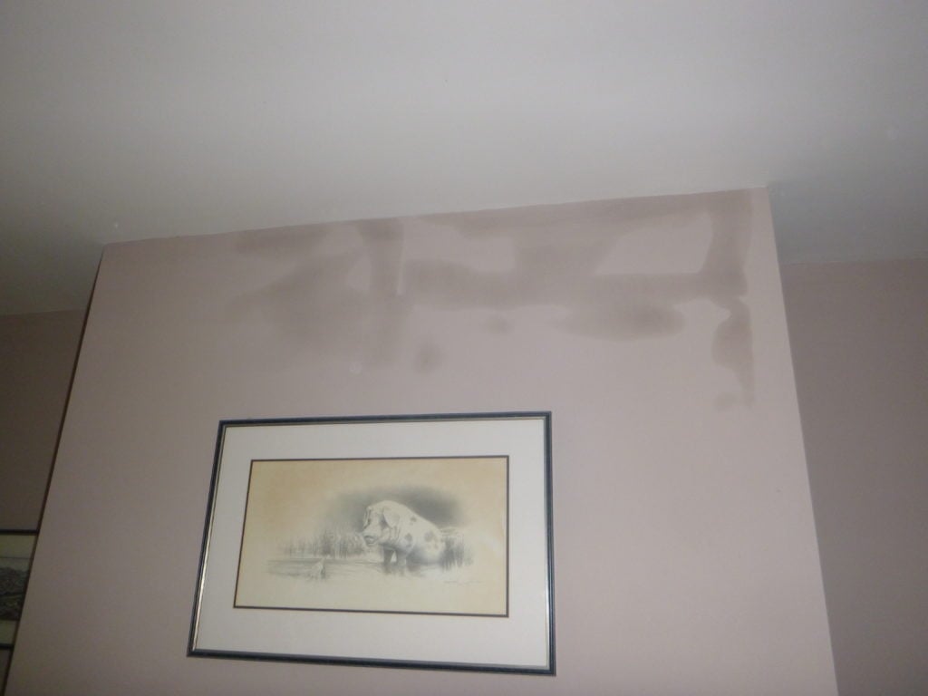 Turner Baker's Guide To Damp in a chimney | Turner Baker